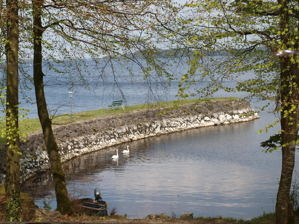Killinure cottage swans in harbour - Egon Design Egon Design