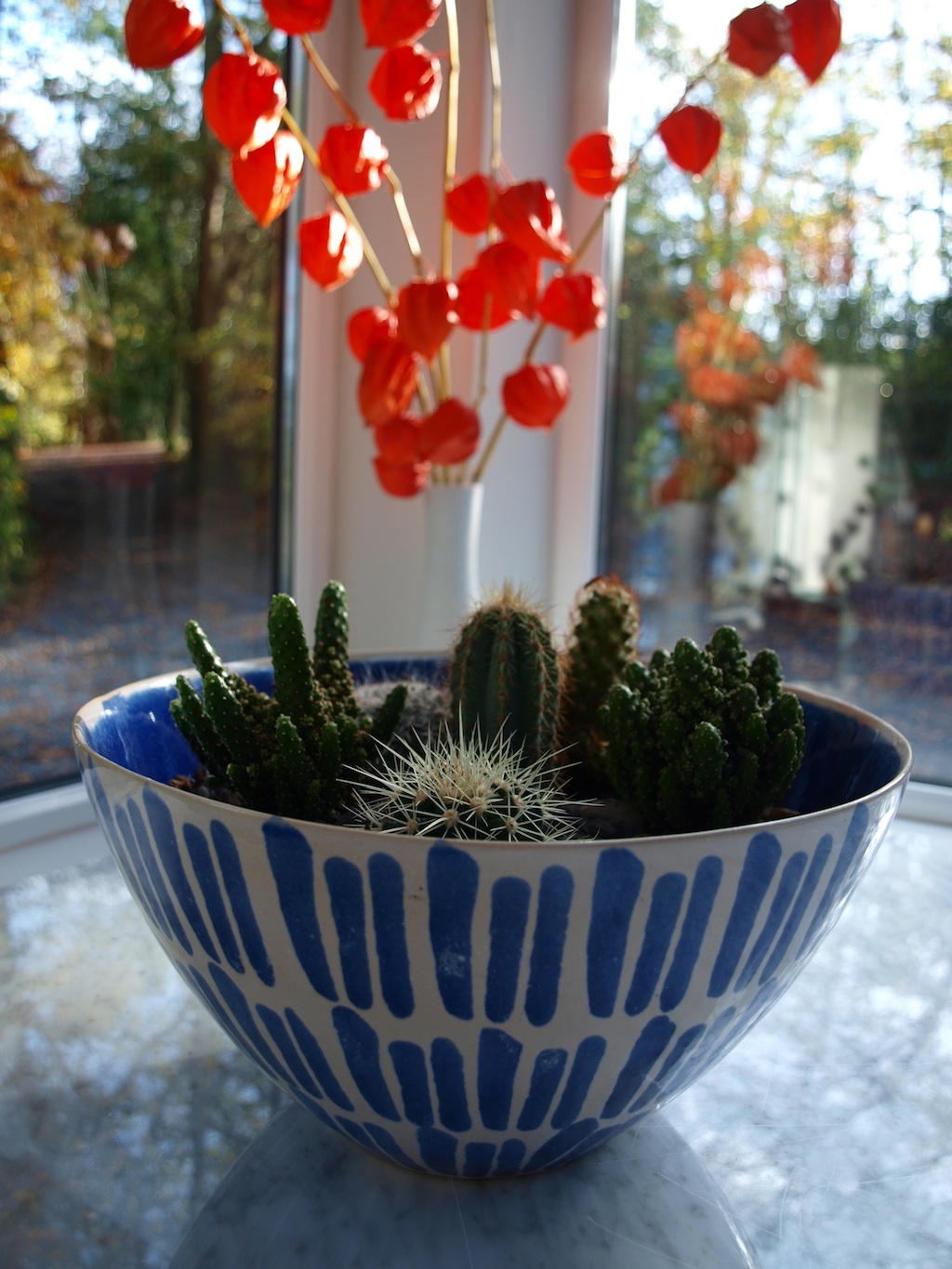 Cactus Garden IKEA M&S Indigo Egon Walesch 14 - Egon Design Egon Design