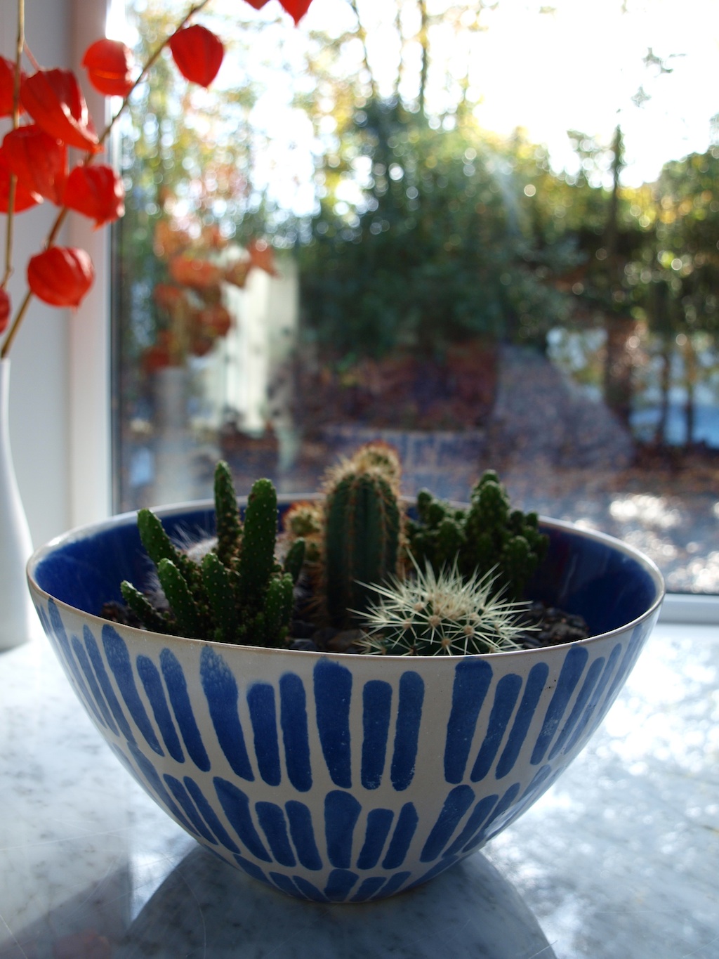 Cactus Garden IKEA M&S Indigo Egon Walesch 15 - Egon Design Egon Design